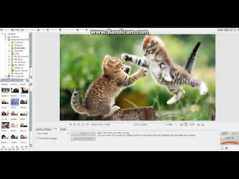 Photoscape - How to crop pictures (Rectangles Not Circles!)