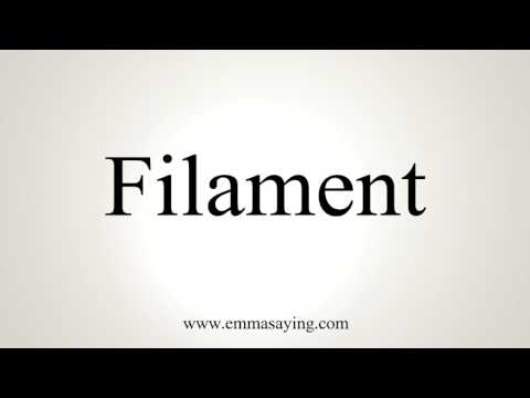 How To Pronounce Filament