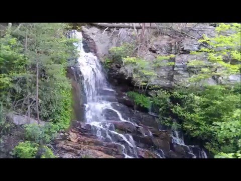 Tory’s Falls – Easy Waterfall Hikes