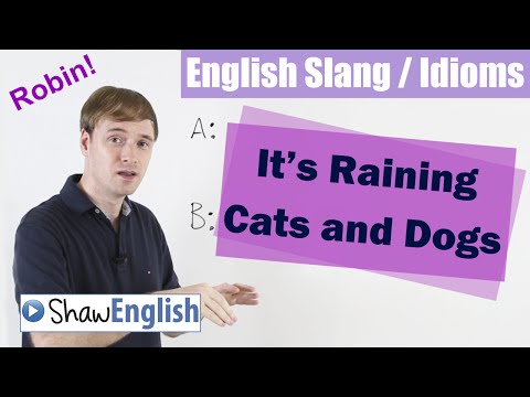 English Slang / Idioms: It's Raining Cats and Dogs