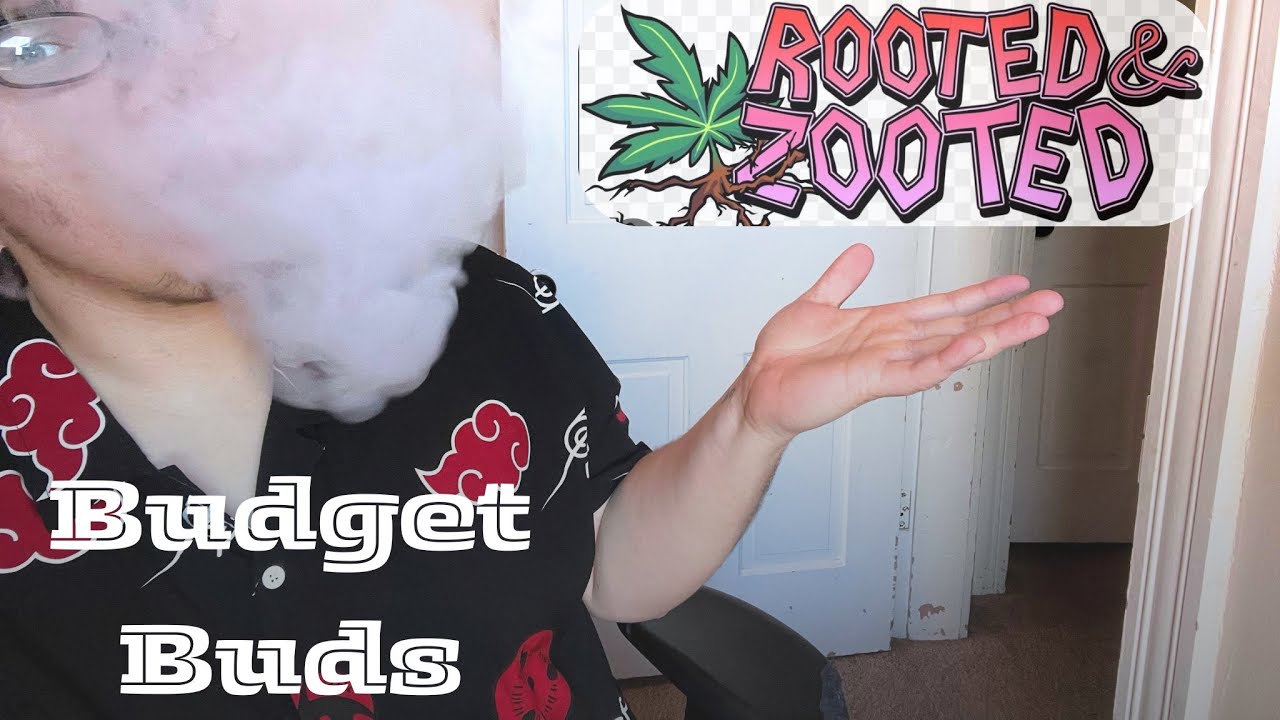 ‼️Rooted & Zooted‼️ Budget Buds Episode 2