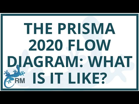 The PRISMA 2020 flow diagram: what is it all about?