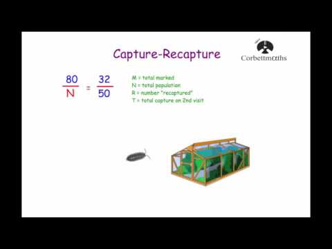 Capture-Recapture | Corbettmaths