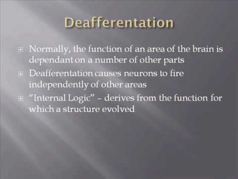 Deafferentation - Religious Experience