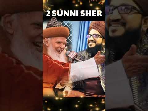 Sayyad Hashmi Miya Aur Mufti Salman Azhari #shorts #tranding