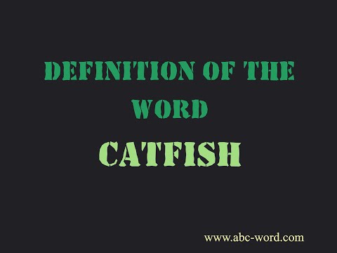 Definition of the word "Catfish"