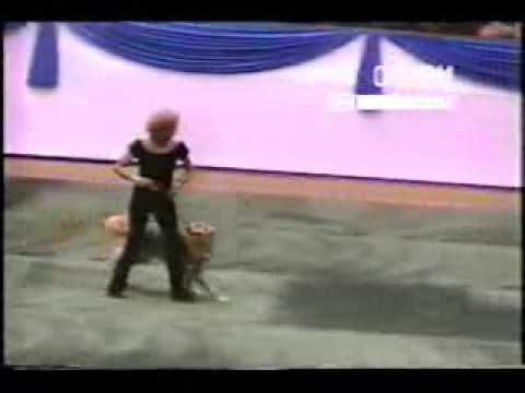 The Attachment Dance | myMCMlife.com