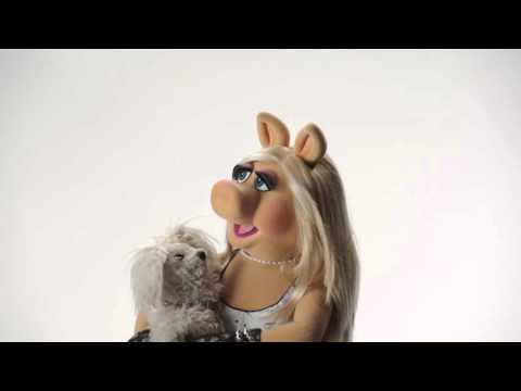 Miss Piggy's Top 5 Greatest Loves - The Muppets