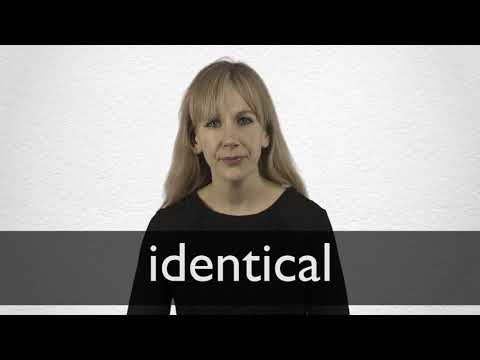 'IDENTICAL' 的 简体中文 Translation | 柯林斯 英语 - 汉语词典