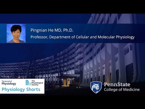 Physiology Shorts: Vascular inflammation under disease conditions