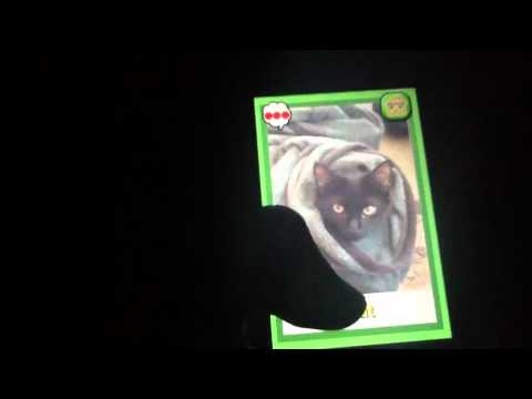 Create Your Own Flash Cards iPhone App Review