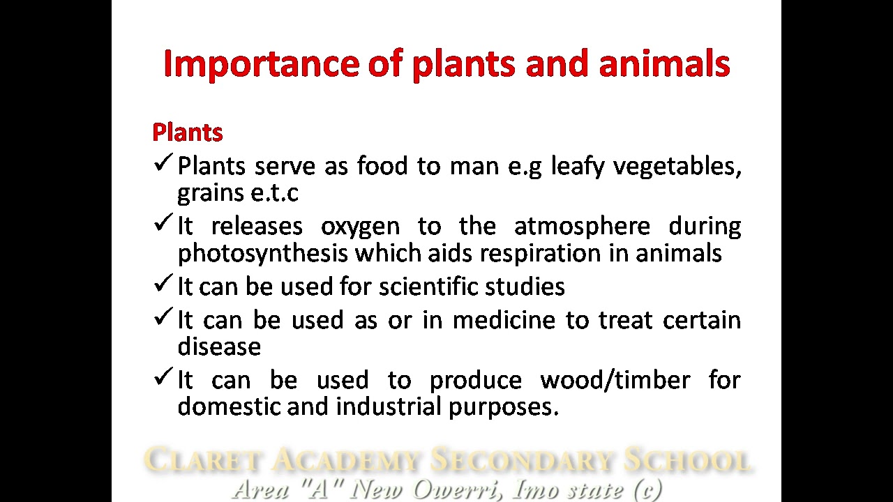 Basic Science  JSS 1 week 2