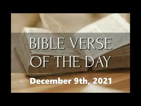 Verse of the Day - December 9th, 2021 - John 15:5,8 (KJV)