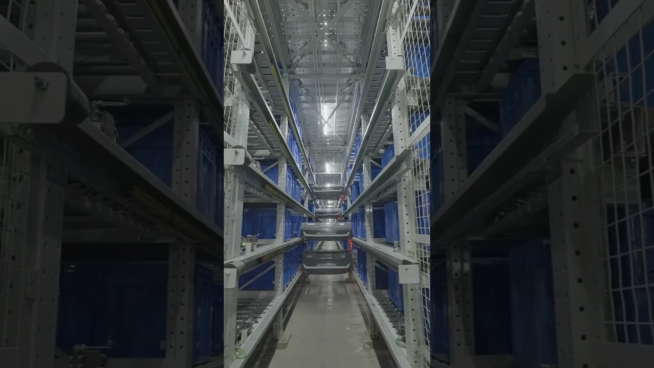 How Carton Shuttle Revolutionizes Warehouses!