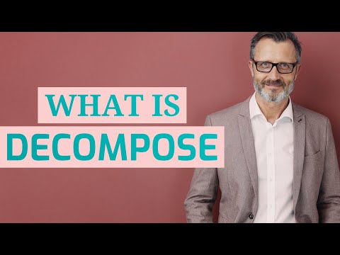 Decompose | Definition of decompose 📖