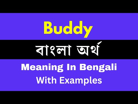 Buddy Meaning In Bengali/Buddy শব্দের বাংলা ভাষায় অর্থ অথবা মানে কি