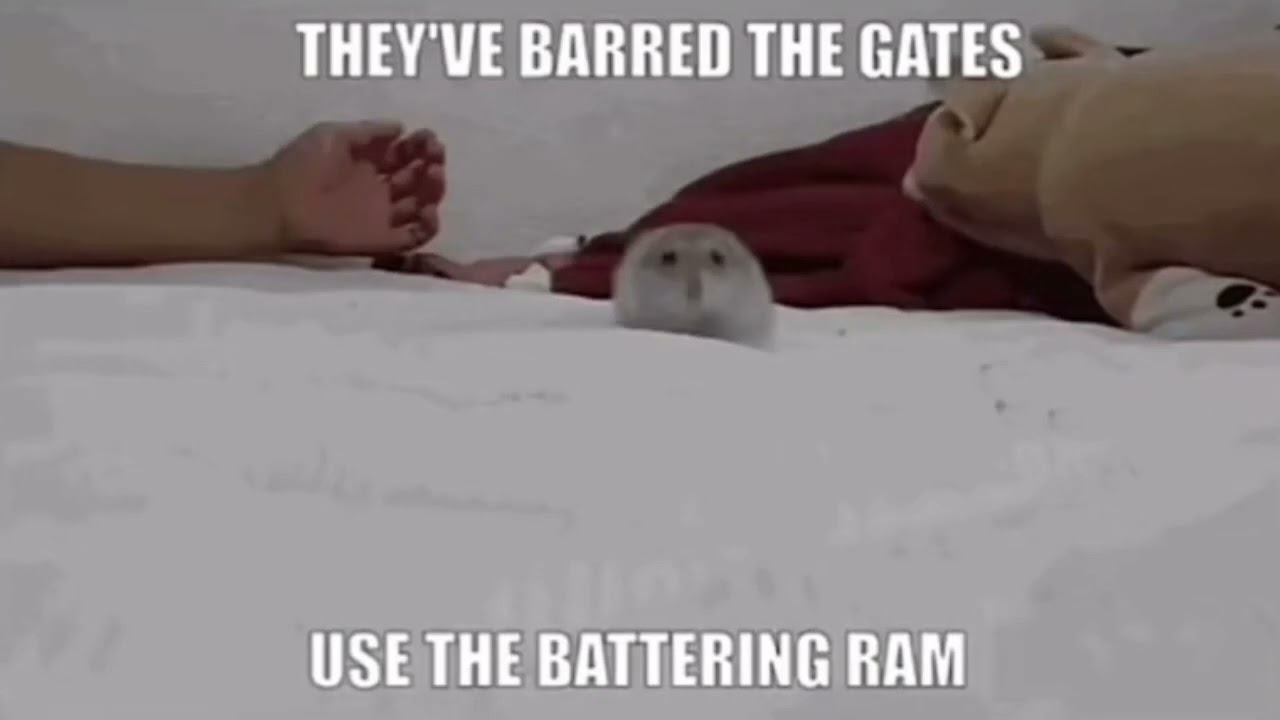 THEY'VE BARRED THE GATES, USE THE BATTERING RAM