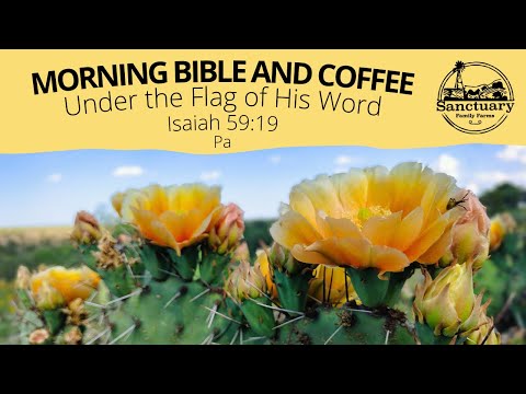 Under the Flag of His Word (Isaiah 59:19) – Pa