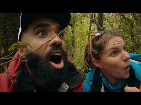 Endangered Species Aotearoa Season 2 | NZ’s favourite nature show is back!