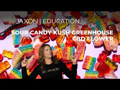 JAXON Sour Candy Kush CBD FLOWER