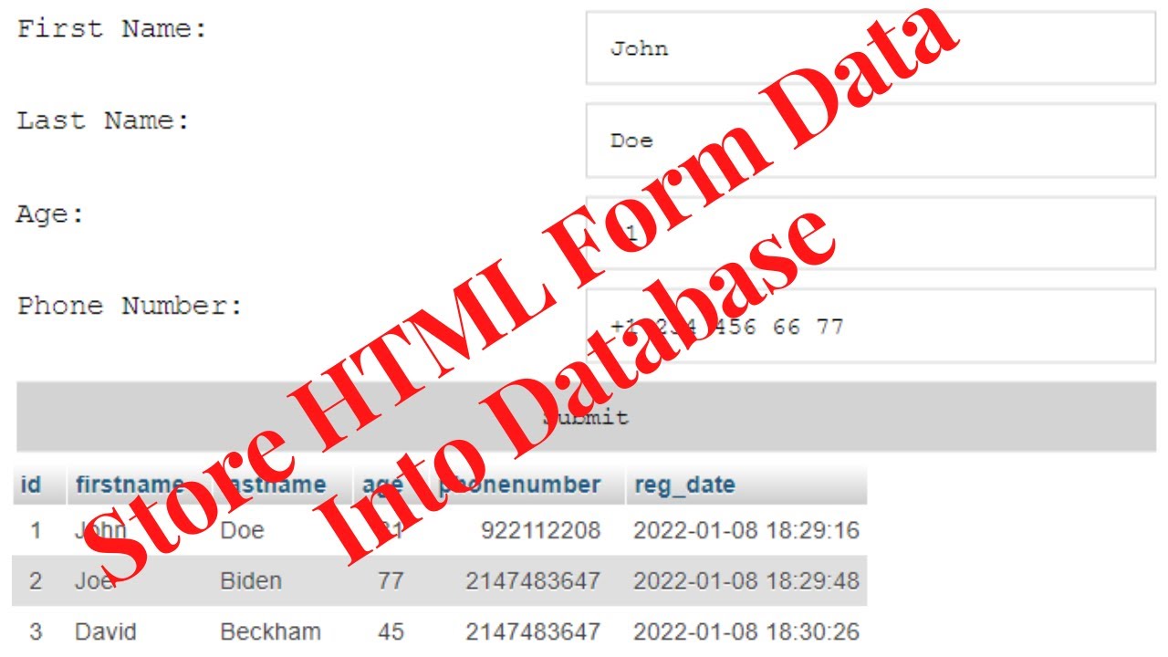 #2 Store Html Form data Into Mysql Database | Html, CSS, PHP and SQL