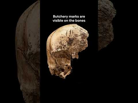The Starving Settlers of Jamestown #history #archeology #artefacts