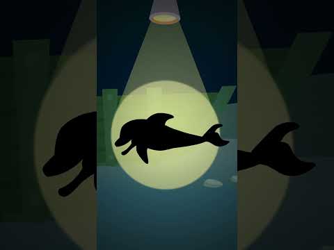 π Guess the Marine Animal π Which Sea Animal Is It? π§ Episode 2