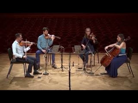 Concert du quatuor Tana à Arsonic jeudi 16 janvier 2025 20h | Mons Blog