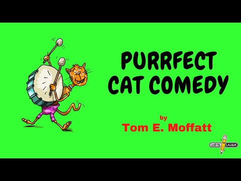 Cat Jokes