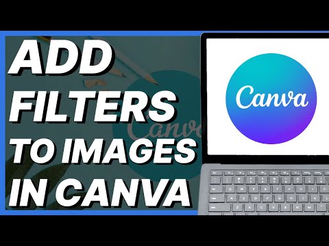 How To Add Filters To Images In Canva (2024)