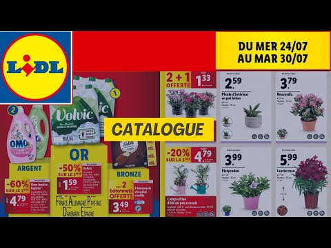 Catalogue LIDL du 21 au 27 août 2024