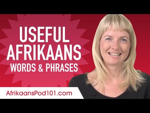 Useful Afrikaans Words & Phrases to Speak Like a Native