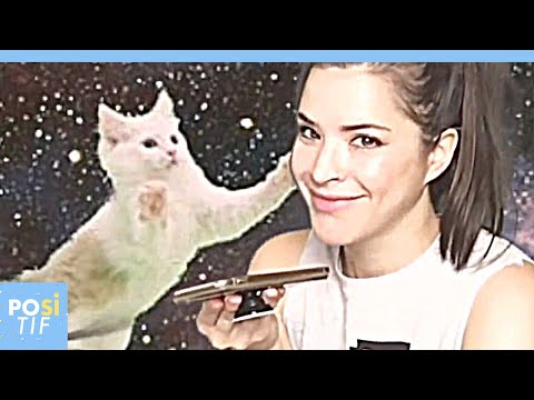 Elle fait semblant d’être une femme âgée pour piéger des arnaqueurs