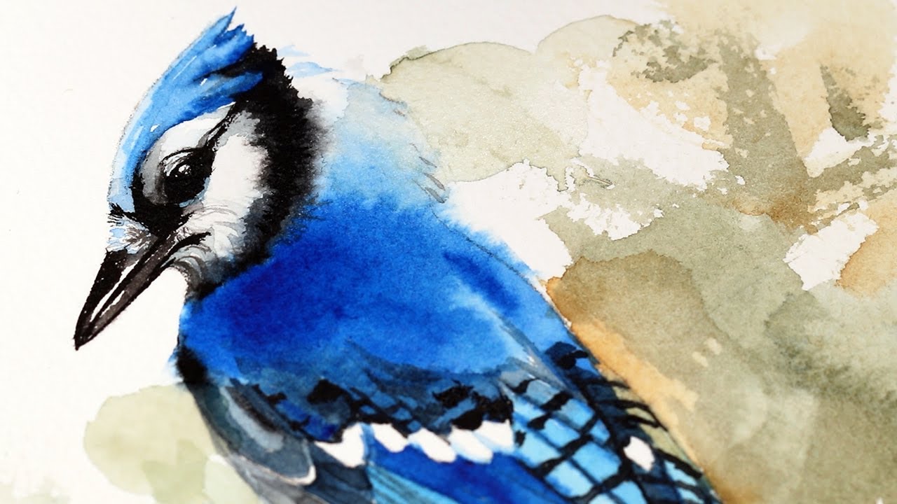 How to Paint a Blue Jay Bird in Watercolor