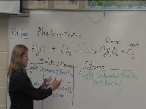 Photosynthesis Overview and Photsystem 1.mov