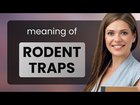 Understanding "Rodent Traps": A Guide for English Learners