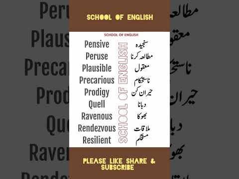 "English Words You Use Every Day | With Urdu Translation"Lesson#207