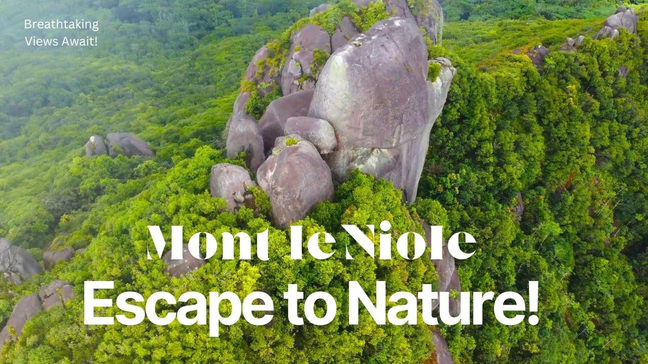 Mont Le Niol Seychelles Hiking 🇸🇨 | Stunning Drone Views from 681m Peak #seychelles