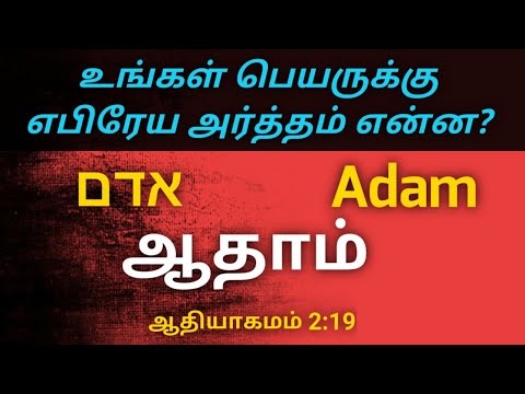 Meaning of the name Adam | ஆதாம் | Bible Names in tamil | Hebrew | English | CLM