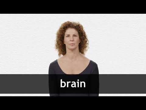 BRAIN 释义 | 柯林斯英语词典
