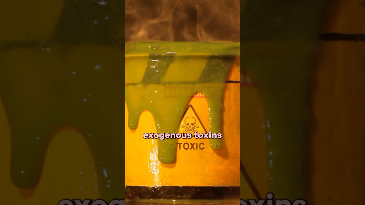 How the Liver Detoxifies Your Body
