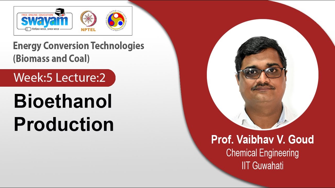 Understanding Bioethanol Production: Processes, Sources, and ...