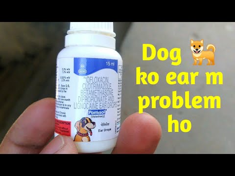 Ear Drops - Antifungal Ear Drops Latest Price, Manufacturers & Suppliers