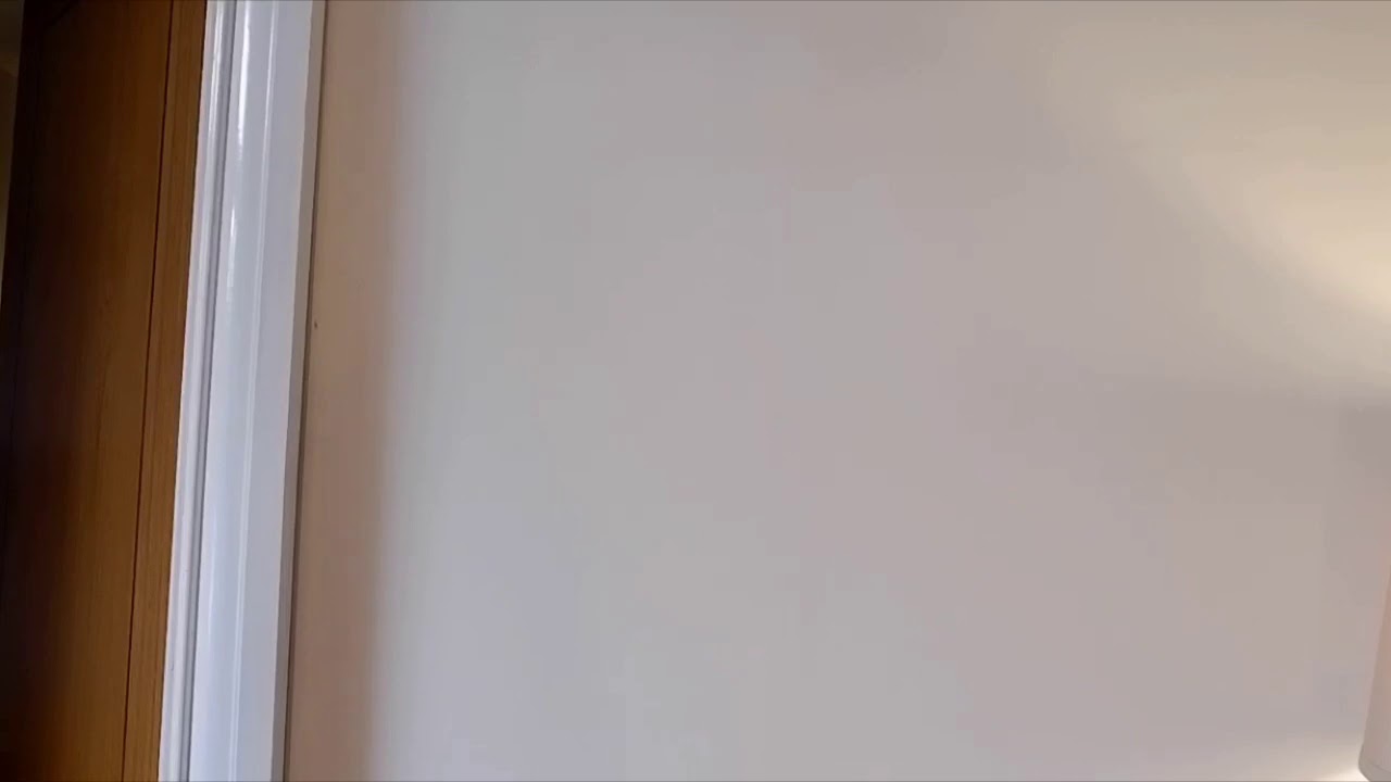 Timothy Byrne takes a photo for Twitter