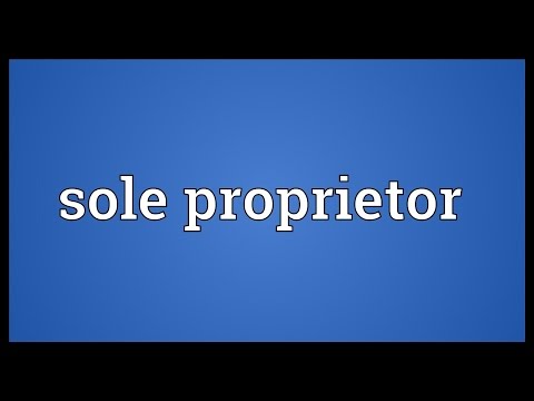 Sole proprietor Meaning