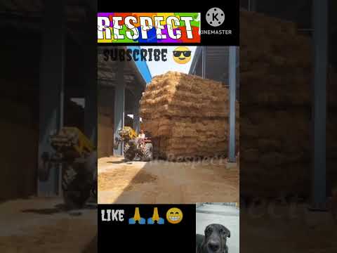 Respect meaning π€―π―π₯ππ || #shorts #short #trending #trendingshorts