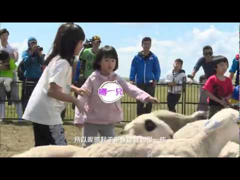 《和爸爸在一起》看点 Together with Dad Preview:李锐曝杨阳洋抓羊有冠军范-Yang Catches Goat Like A Champion【湖南卫视官方版】