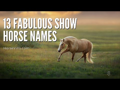 13 Fabulous Horse Show Names