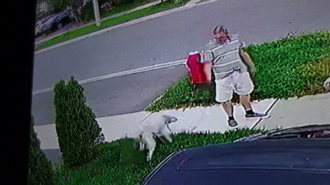 Dog walker did not pick up dog poop on our front lawn