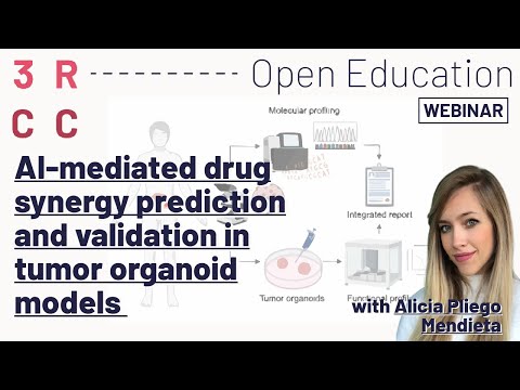 AI-mediated drug synergy prediction and validation in tumor organoid models by A. Pliego Mendieta